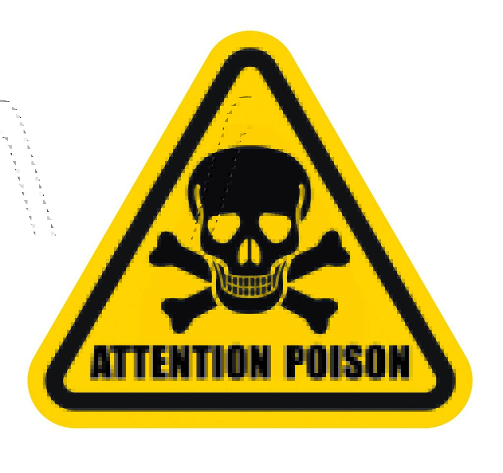 Ne pas s’empoisonner avec les légumineuses?